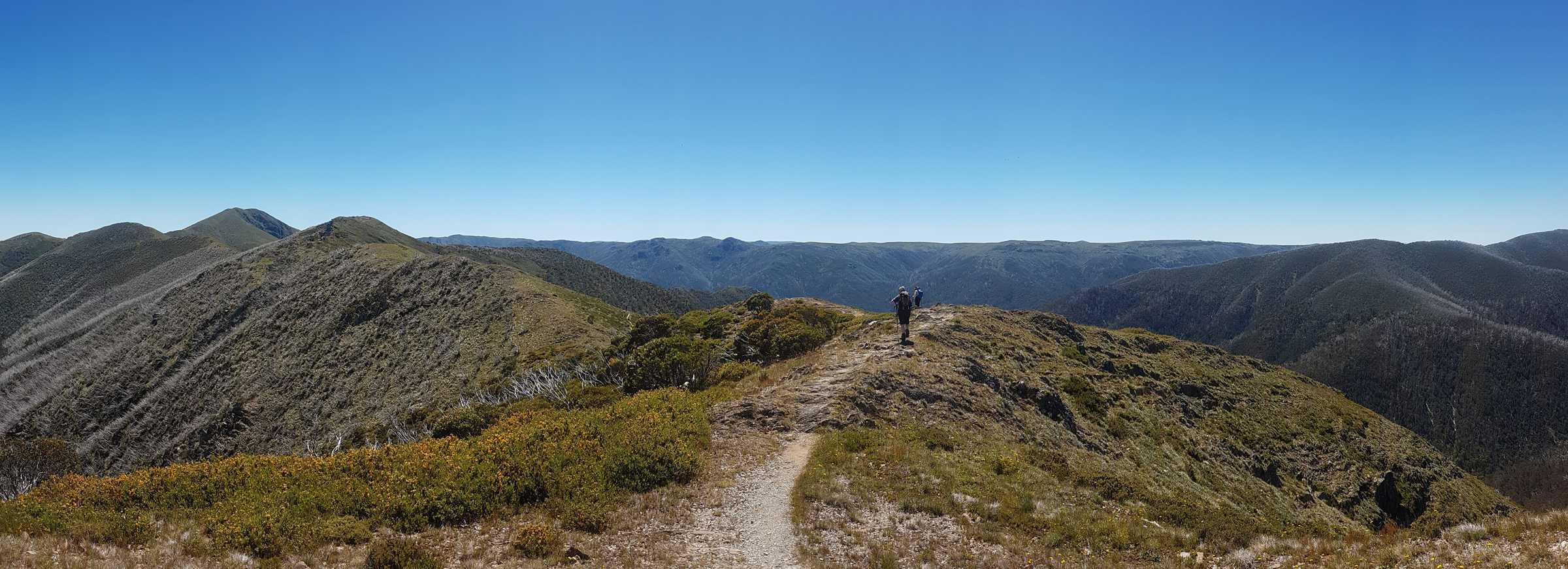 Great Alpine Walk - 7 Day Self Guided Great Alpine Walking Tour