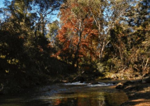 Great Alpine Walk - 7 Day Self Guided Great Alpine Walking Tour