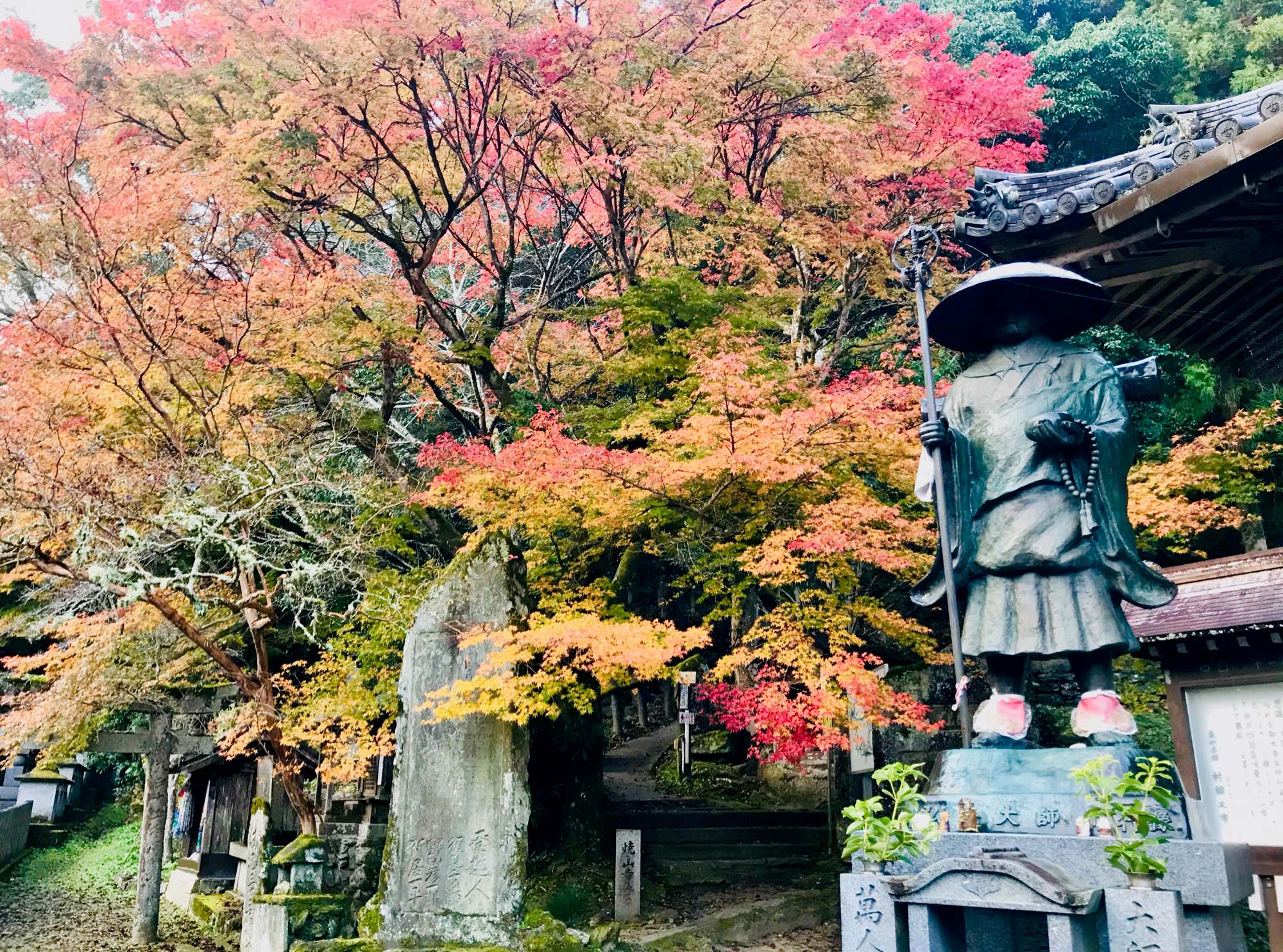 Shikoku Pilgrimage Walking Tours - Auswalk